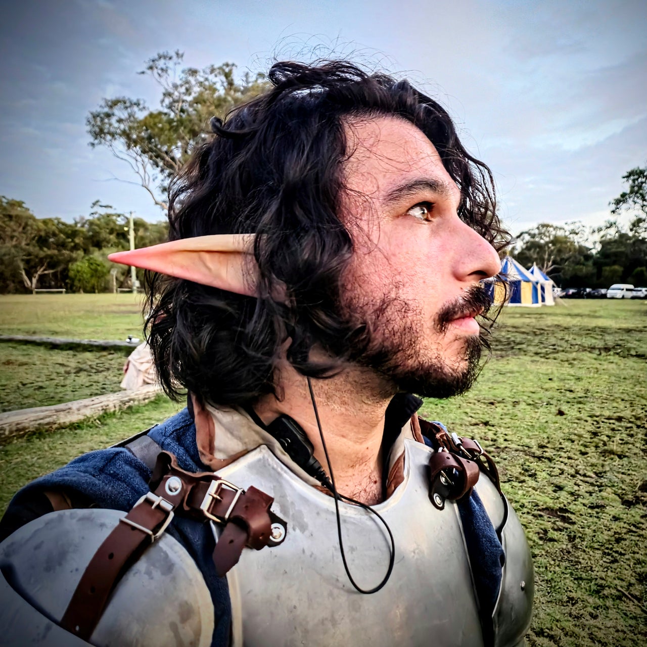 Feli-Fae Cosplay Fur Ears Sydney | Feli-Fae