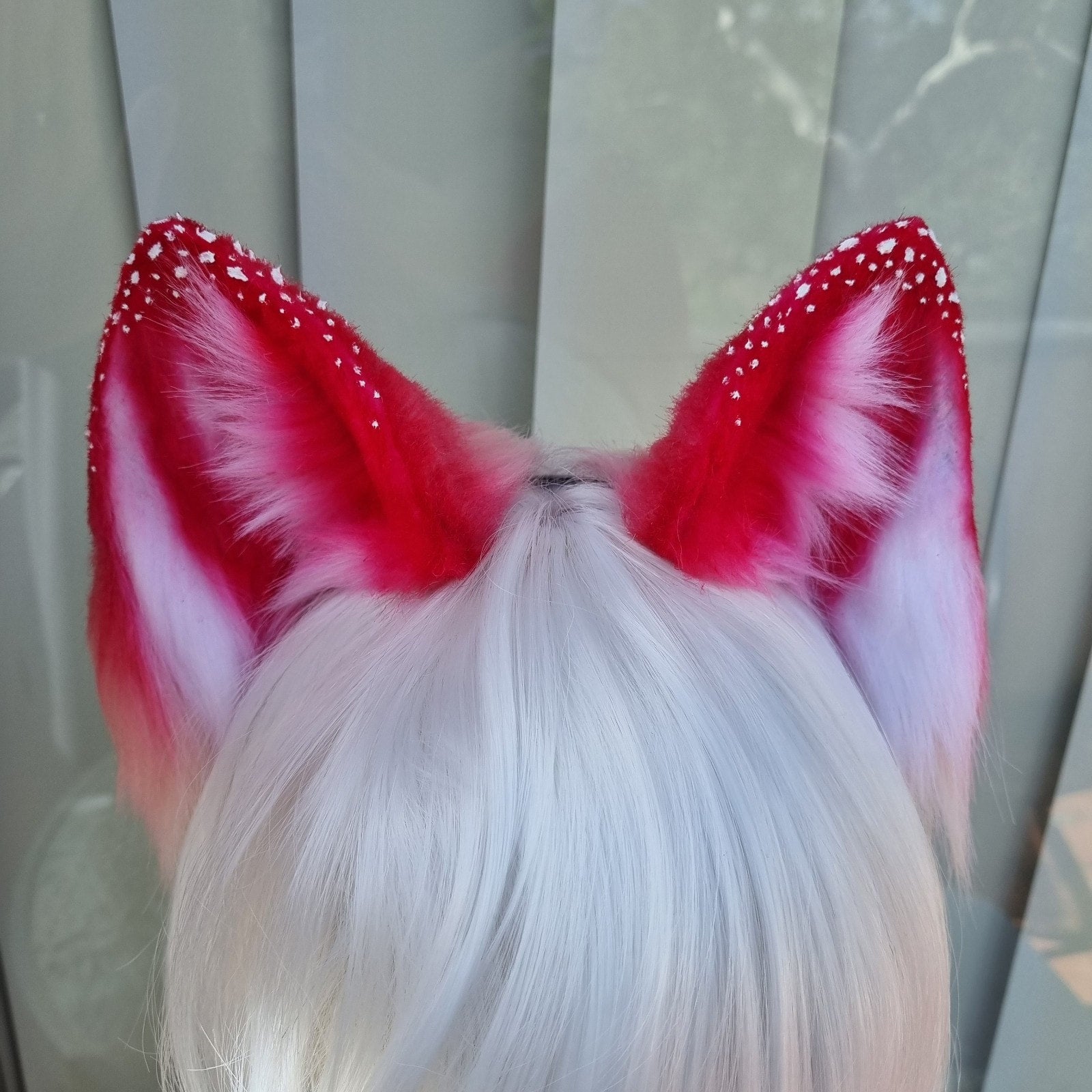 Mushroom Fox | Feli-Fae